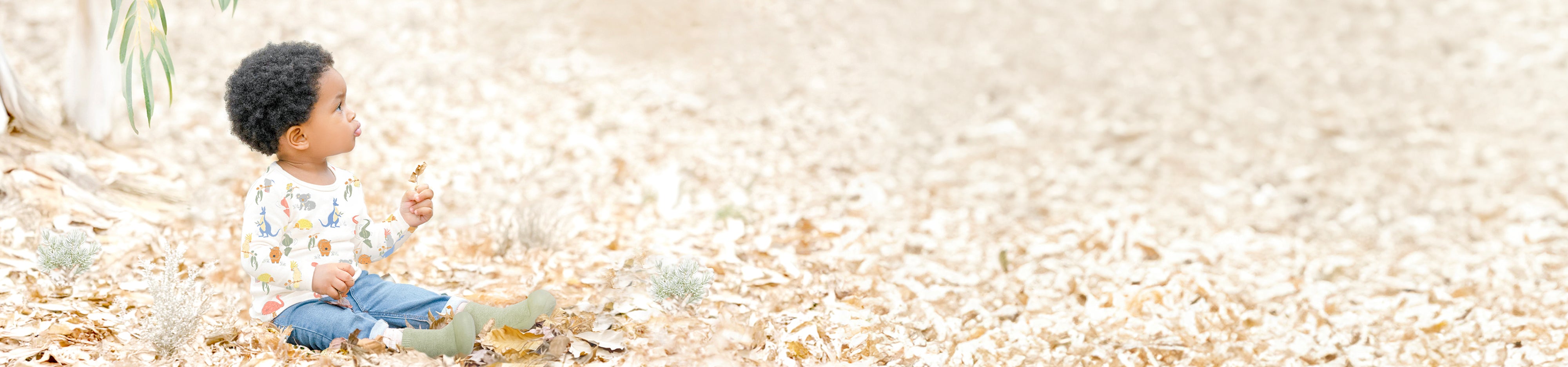 WIRES – Toshi Australia Pty Ltd